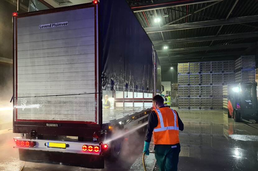 Bird flu (Avian influenza) now as well in Sweden: mandatory additional ...